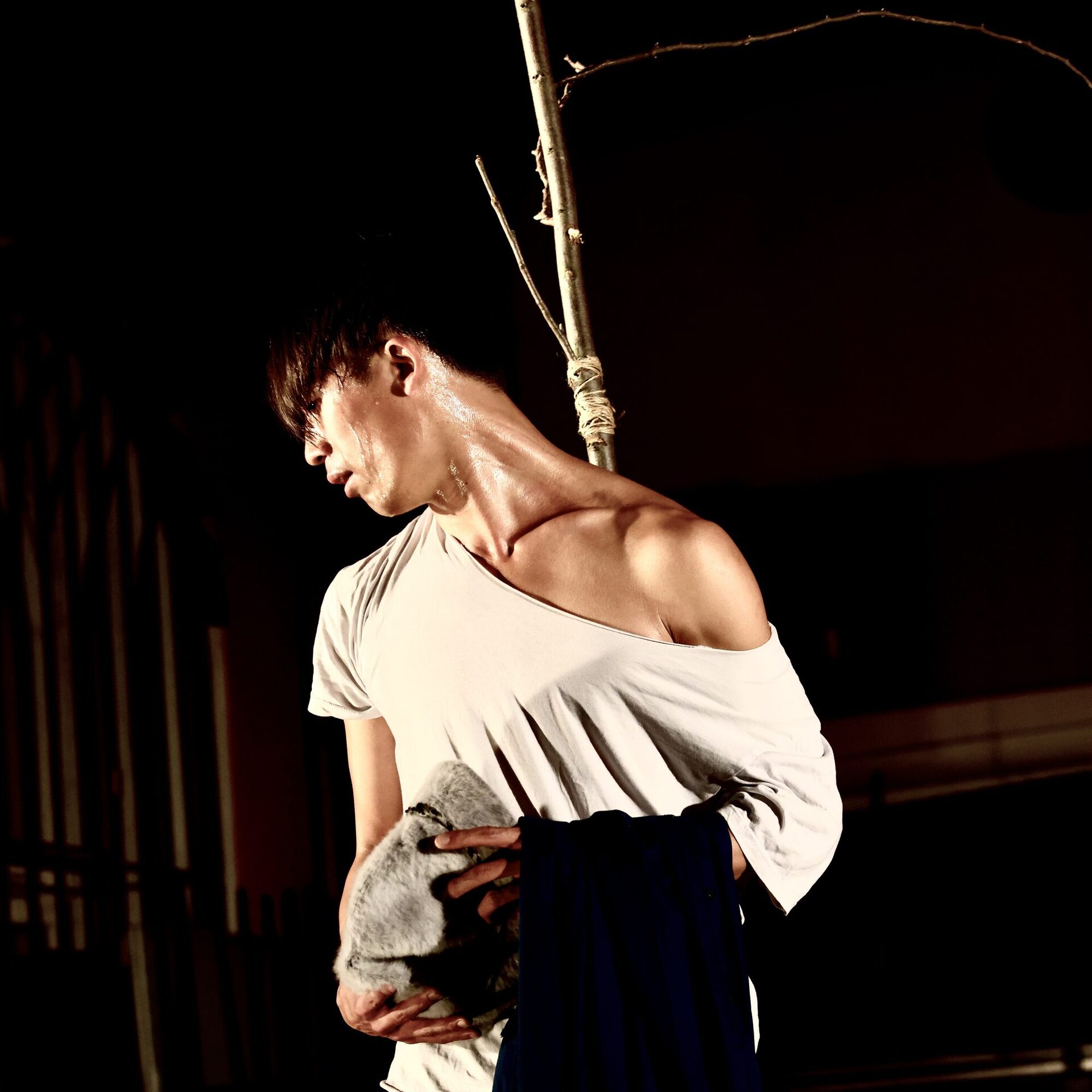 Pina Bausch Zentrum under construction: Vorverkauf für Festival Fragile beginnt | Wuppertal