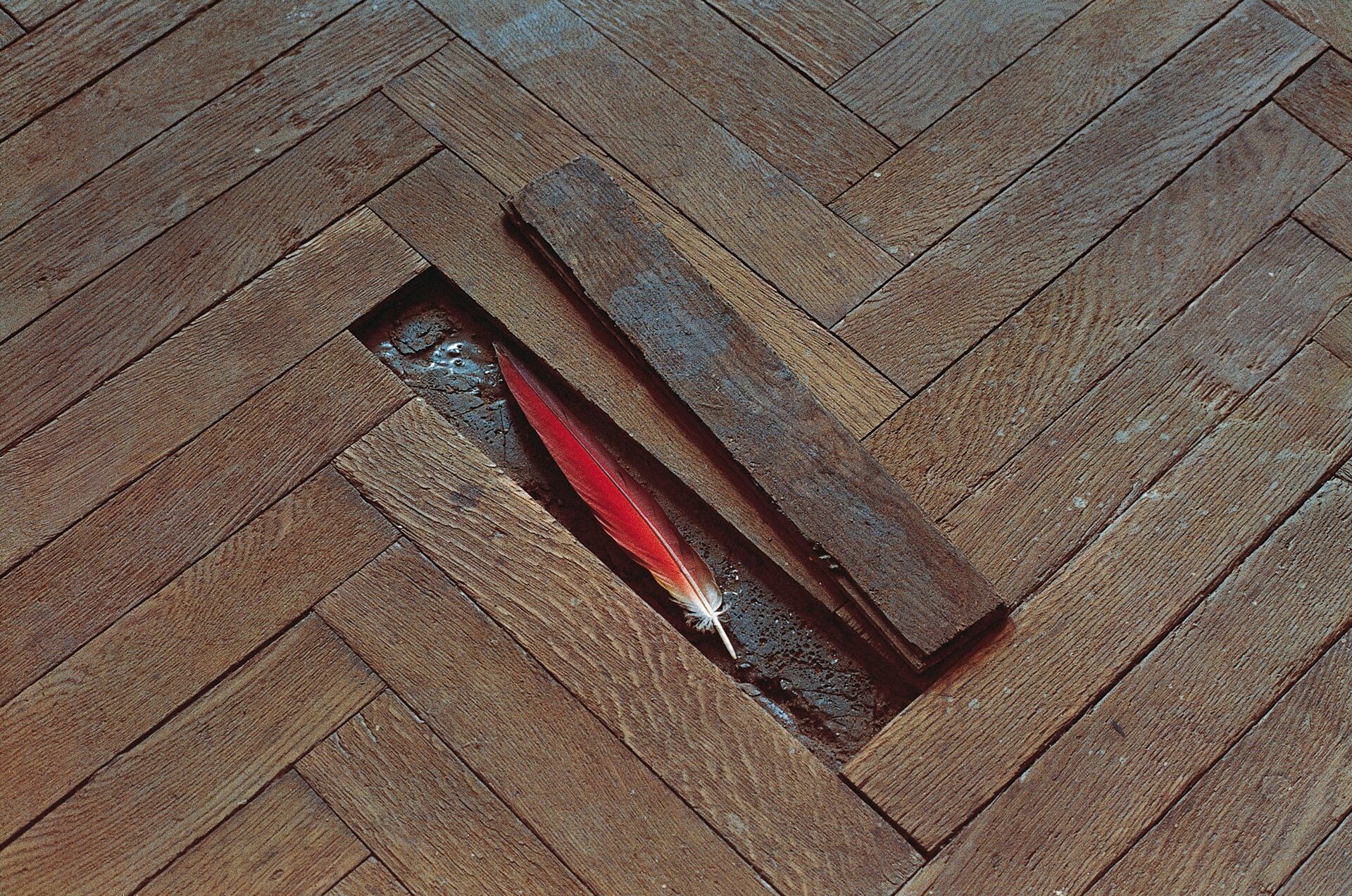 Land of the Spotted Eagle: Lothar Baumgarten im Von der Heydt-Museum ...